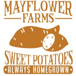mayflower farms sweet potatoes