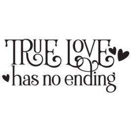 true love has no ending|285300