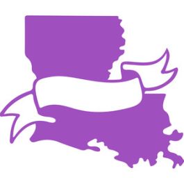 louisiana banner
