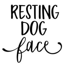 resting dog face phrase
