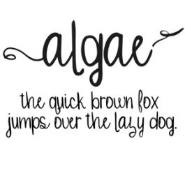 cg algae font