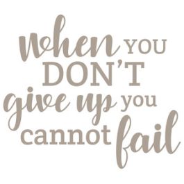 when you don't give up you cannot fail
