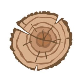 tree cross section