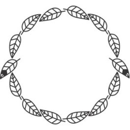 feathers circle frame