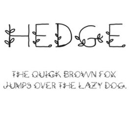 cg hedge font