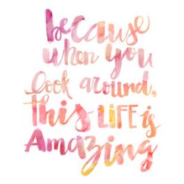 this life is amazing