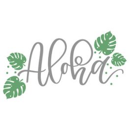 aloha monstera leaves