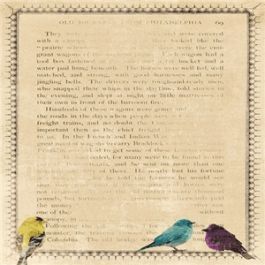 birds script