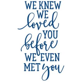 we knew we loved you before we even met you