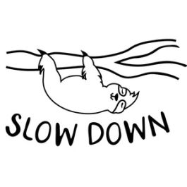 slow down sloth
