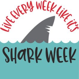 live every week like it's shark week