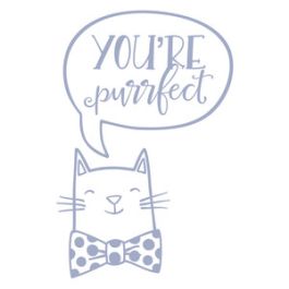you're purrfect cat
