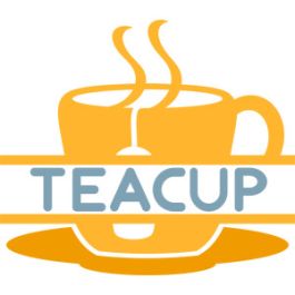 split teacup