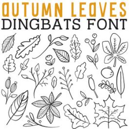 cg autumn leaves dingbats