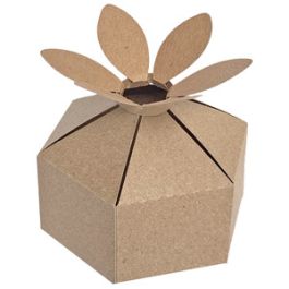 six sided daisy box