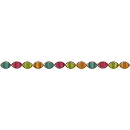 dna border