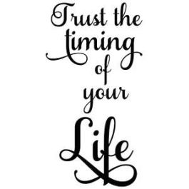 trust the timing of your life quote