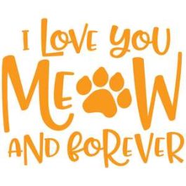 i love you meow and forever