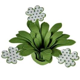 four leaf clover fun flower