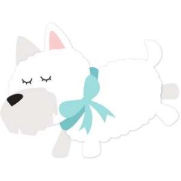 paw