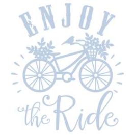 enjoy the ride bike