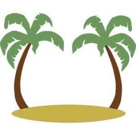 double palm trees