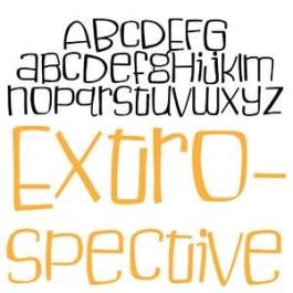 pn extrospective|325682