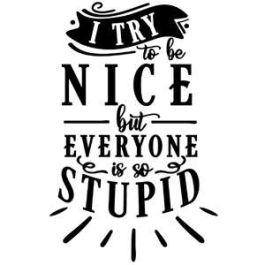 try be nice everyone stupid