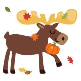 fall moose