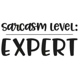 sarcasm level - expert