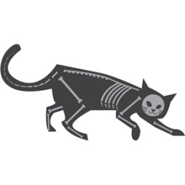 sneaking cat skeleton