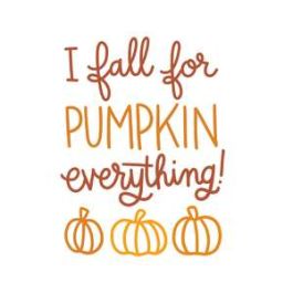 ALPHABET CARD WITH DISPLAY - N