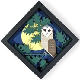 barn owl shadow box