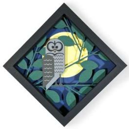 barred owl shadow box