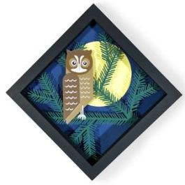 screech owl shadow box