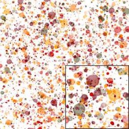 fall splatter pattern