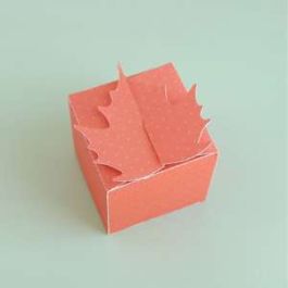 leaf box