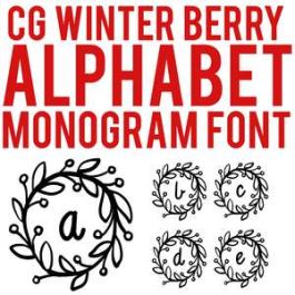 cg winter berry alphabet monogram