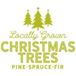 locally grown christmas trees|338615