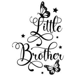 little brother butterfly quote