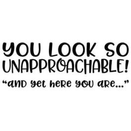 you look so unapproachable! quote