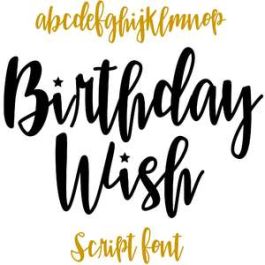 birthday wish script font