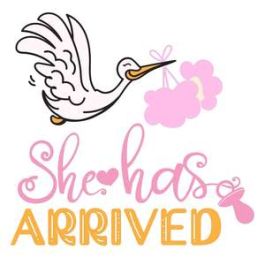 she has arrived|345724