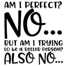 am i perfect? no... quote