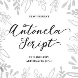 antonela script