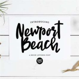 BFC Painted Chairs Brush Cursive Font