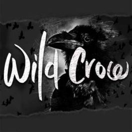 wild crow