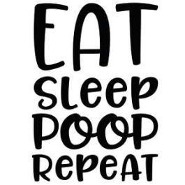 eat sleep poop repeat
