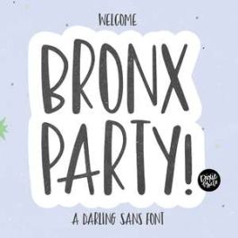 dtc bronx party