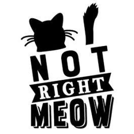 not right meow